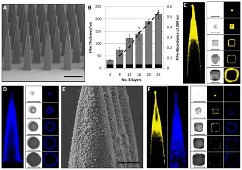 Nano Layered Microneedles For Transcutaneous Delivery Of Polymer