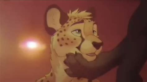 Furry Gay Animation Heating Night Youtube