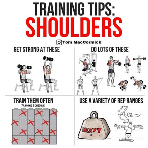 Shoulder Training Tips As Promised Here Are Some More Training Tips