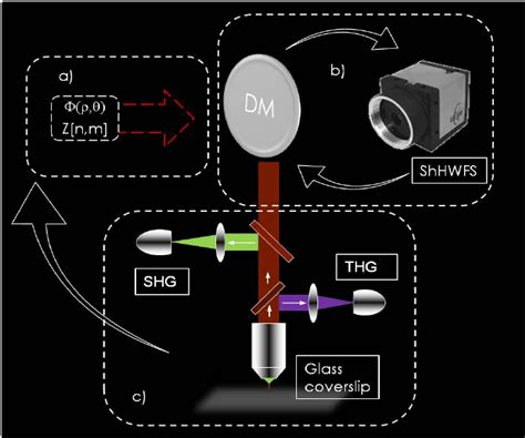 Schematics Of The Adaptive Optics Ao Setup Iterations That Were Download Scientific Diagram