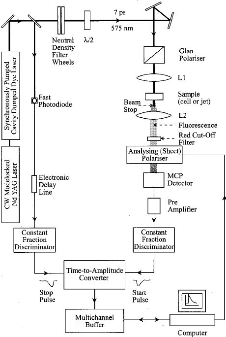 a schematic of the 180° excitation fluorescence detection geometry used