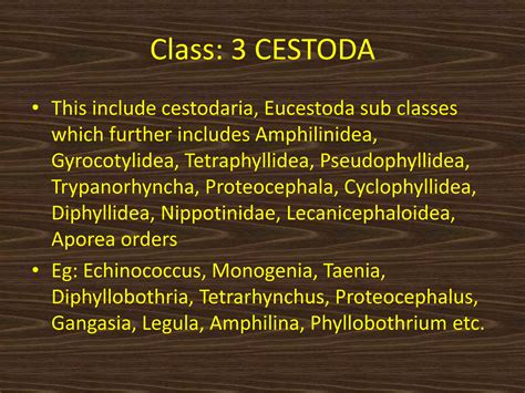 Platyhelminthes Pptx