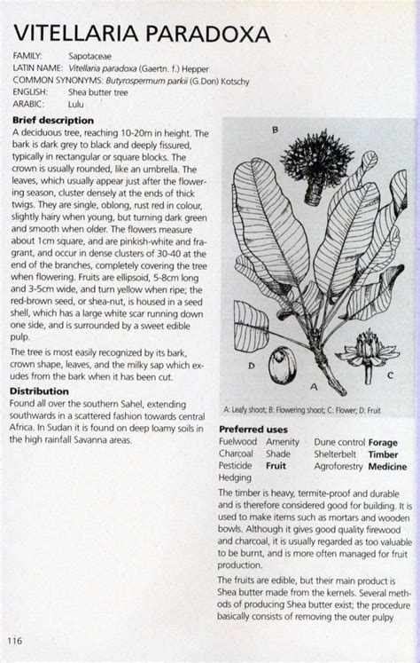 A Field Worker S Guide To The Identification Propagation And Uses Of Common Trees And Shrubs Of