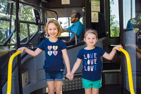 School Bus Services Comfortdelgro Australia