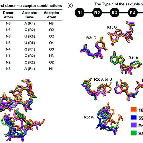 Pdf Identification Of Structural Motifs Using Networks Of Hydrogen