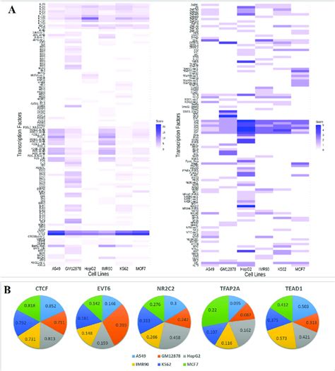 the enrichment of different tfbss in the six cell lines a the heat