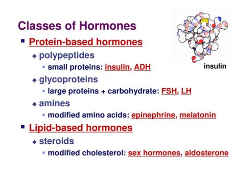 Endocrine System Hormones Ppt Download
