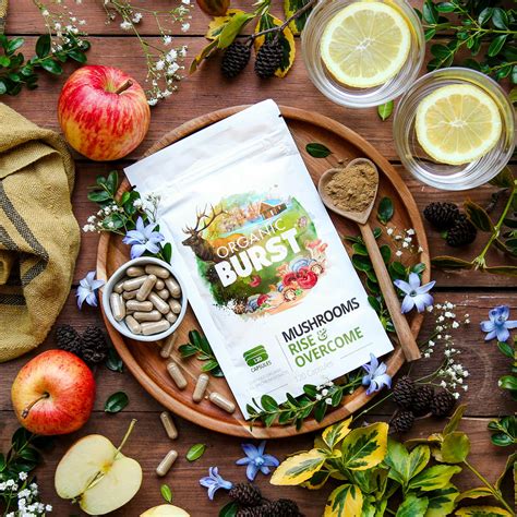 10 Mushroom Full Spectrum Extract By Organic Burst® Capsules And Powder