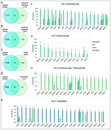 Loci Corresponding To Proteins Present On Nascent Or Mature Dna A D