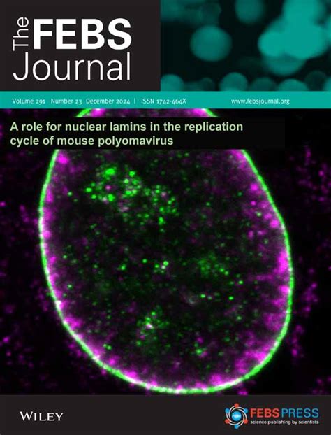 Thioredoxin Reductase Inhibition And Glutathione Depletion Mediated By Glaucocalyxin A Promote