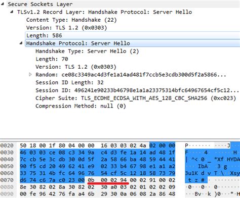 Java Tls Extension Maximum Fragment Length Negotiation In Sunjsse