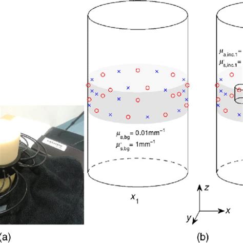 a photograph of the diffuse optical tomography experiment using one