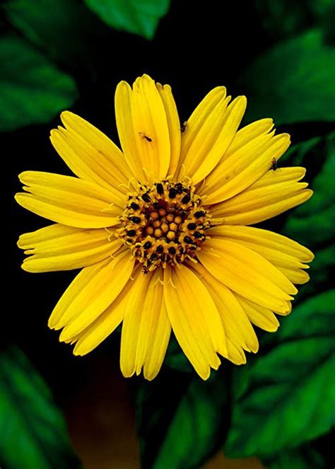 Student Work Graphics Best Film Making Academy