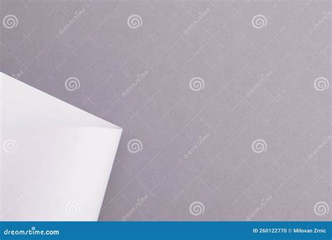 White And Gray Abstract Curved Background Stock Photo Image Of Blank