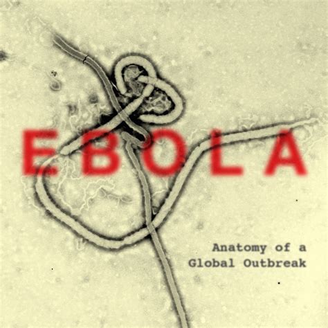 Ebola Anatomy Of A Global Outbreak The Chicago Council On Science