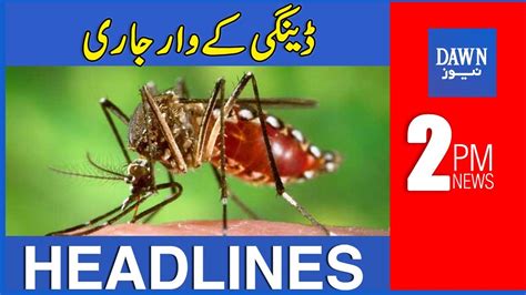Dawn News Headlines 2 Pm Dengue Kay Waar Jaari 19 September 2022