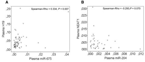 Interplay Of Lncrna H19mir‐675 And Lncrna Neat1mir‐204 In Breast
