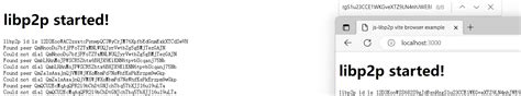A Weird Issue About Peer Discovery Users And Developers Libp2p