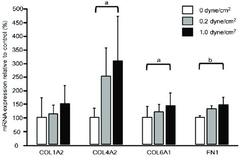 Real Time Reverse Transcriptase Polymerase Chain Reaction Rt Pcr