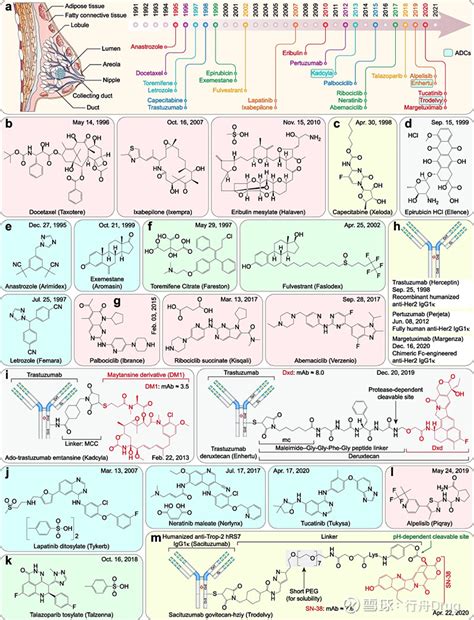 Fda批准的乳腺癌治疗药物总结 本文参考2022年发表在journal Of Hematology And Oncology的一篇药物综述文章