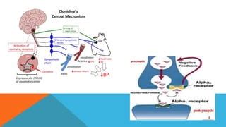 Cervical Plexus Block Pptx