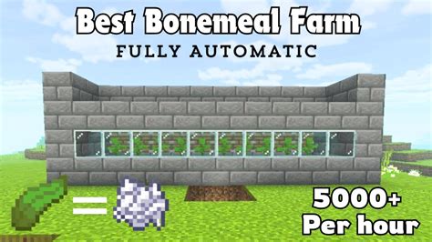 Minecraft Automatic Kelp Bonemeal Farm Youtube