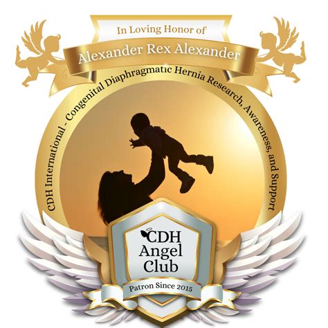 Cdh Angel Club Cdh International A Global Initiative To Stop