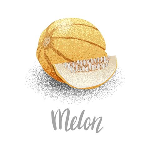 정원 벡터 일러스트 벡터 입자 곡물 스타일의 멜론 유기농 과일 채식 비타민 프리미엄 벡터