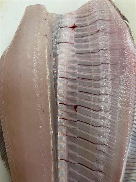 ハイフィッシュみなしん on Twitter なめろう完売しました ありがとうございました さてこの魚はなんでしょう 室蘭