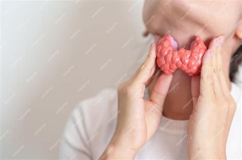 Premium Photo Woman Holding Human Thyroid Anatomy Model With Her Neck