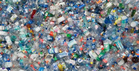 Scientists Discover Worm Species That Eats Plastic — It May Save The Planet Wide Open Spaces