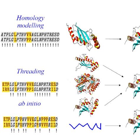 Structural Modeling Methodology In Function Of Sequence Identity Download Scientific Diagram