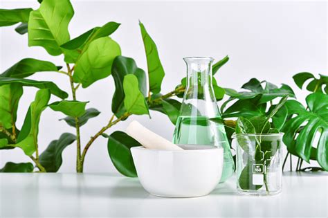 자연 약물 연구 과학 유리 제품 식물 추출 대체 녹색 허브 의학 천연 유기농 스킨 케어 미용 제품 실험실 및 개발 개념 0명에