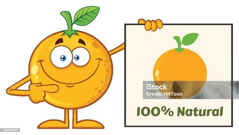 웃는 오렌지 과일 만화 마스코트 캐릭터 100 자연 징조를 가리키는 0명에 대한 스톡 벡터 아트 및 기타 이미지 0명 감귤류 과일 건강한 생활방식 Istock