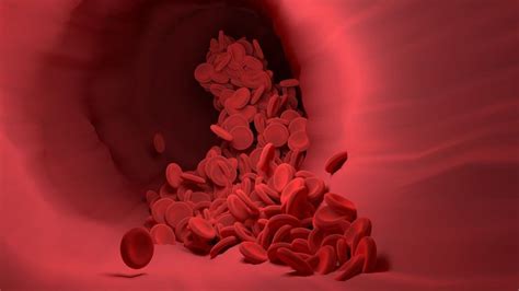 Kode ICD 10 Anemia Nutrisional Hemolitik Dan Aplastik
