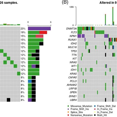 Mutational Landscape Panel A Shows Oncoplot Of The 20 Most Commonly