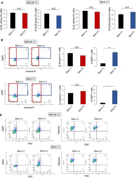 Txnip Regulates Plasma Membrane Permeabilization A Txnip Download Scientific Diagram