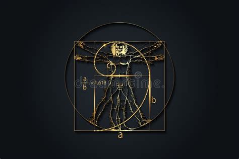 黄金比 列奥纳多·达·芬奇豪华金纹神形比例矢量图的fibonacci序列数与vitruvian人 向量例证 插画 包括有 意大利语