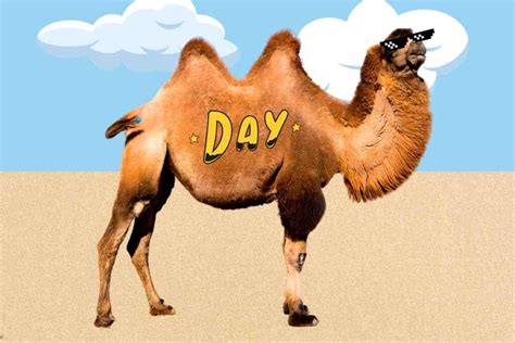 30 Hump Day Memes To Help You Laugh Thru Wednesday