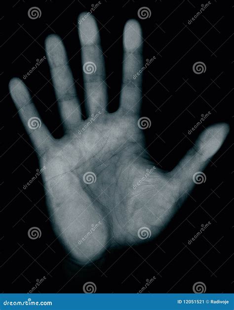 Hand Scan Stock Image Image 12051521