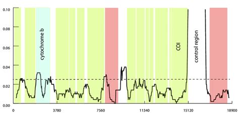 Sliding Window Divergence Between Mitochondrial Genomes Of A Fragilis