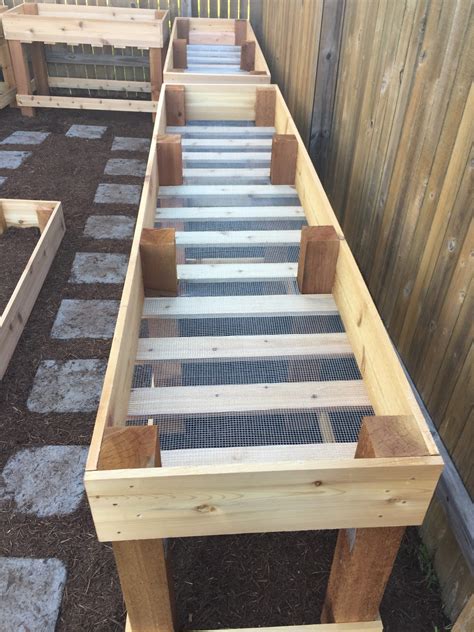 The Wellness Pa C Diy Raised Garden Beds