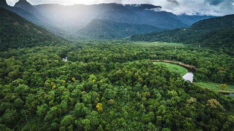 Restaura O Da Mata Atl Ntica Reconhecida Pela Onu
