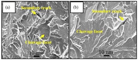 Metals Special Issue Process Structure Property Relationships In Metals