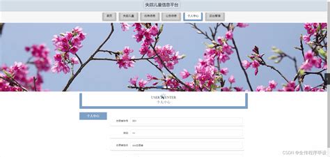 Java失踪儿童信息平台开题源码基于javaweb的走失儿童平台e R图 Csdn博客