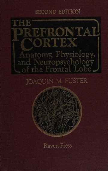 The Prefrontal Cortex Anatomy Physiology And Neuropsychology Of The