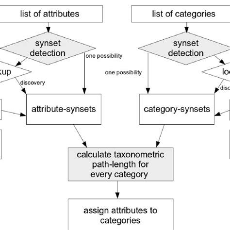 Structure Of The Script Used For Testing The Assignment Of Attributes
