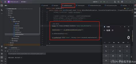 第44天：web开发 Javaee应用and反射机制and类加载器and利用链and成员变量and构造方法and抽象方法 Csdn博客