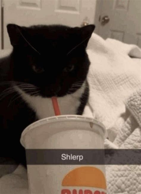 On Twitter Why Do Problematic Expose Accounts Always Involve Minors As Mods They Do Not