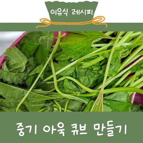 중기이유식 아욱큐브 만들기 아욱손질법 네이버 블로그